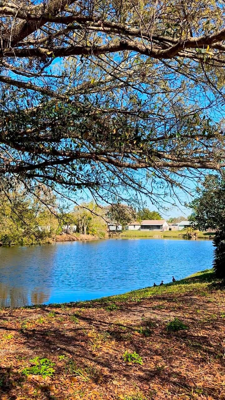 Cordova Lakes - Bradenton, FL