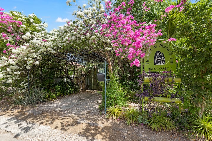 Apartment Palu Di Lechi - 
Art & Nature Inn - Curaçao