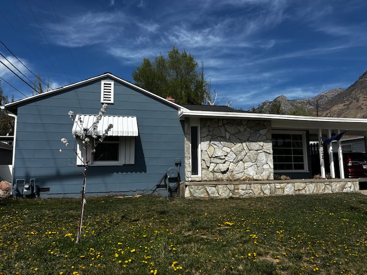 Provo House - Springville, UT