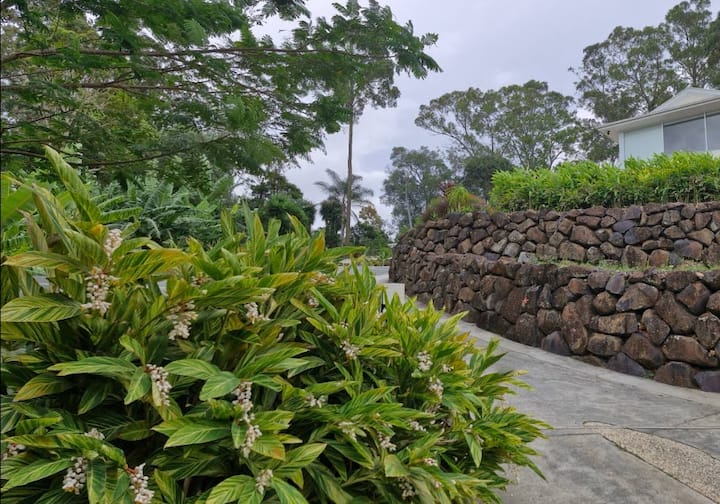 Cosy Scenic Guesthouse In Daisy Hill - Gold Coast