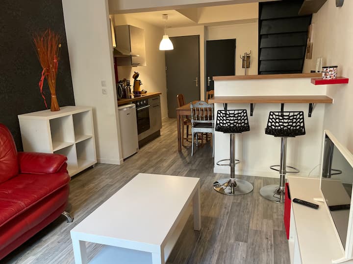 Le Rouge, T3 Centre Montmerle, 10 Mn Belleville - Belleville, France