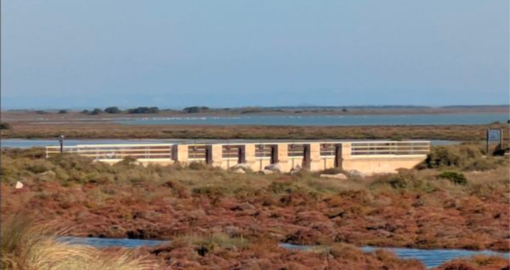 Maison Saintes-maries-de-la-mer Climatisé Wifi - Saintes-Maries-de-la-Mer