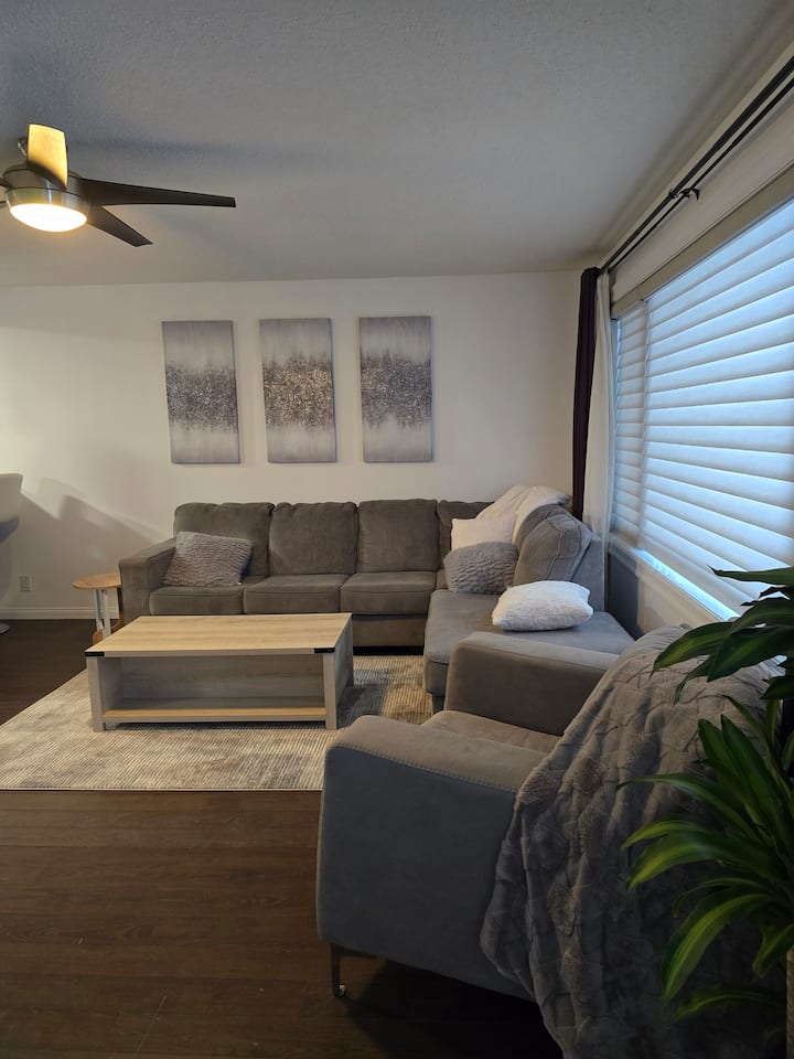 Fully Furnished 2 Bedrooms House - レジャイナ