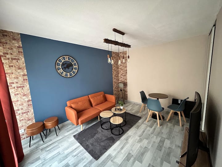 Appartement Au Calme En Centre Ville - Castres