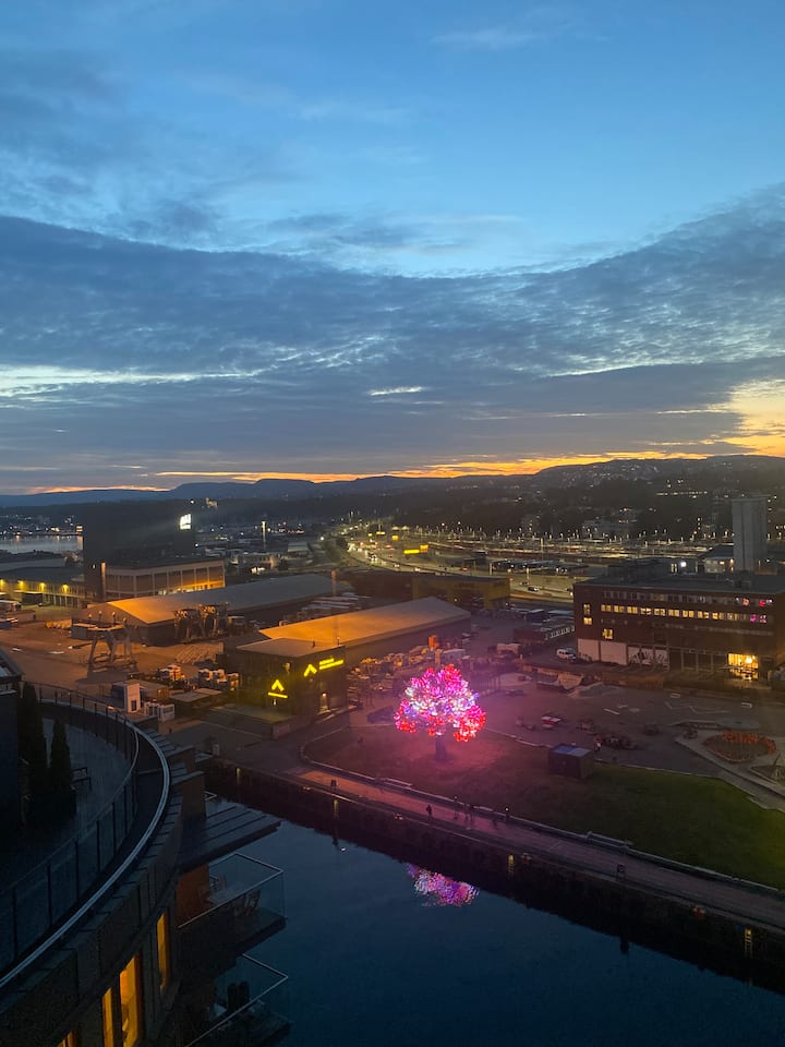 Cozy Apt W/balcony/view In Oslo Sentrum/tjuvholmen - Oslo