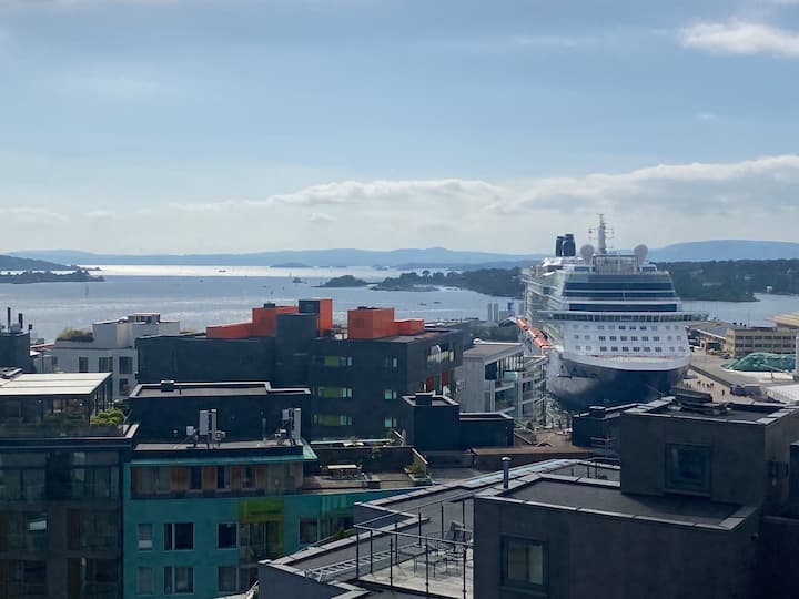 Cozy Apt W/balcony/view In Oslo Sentrum/tjuvholmen - Oslo