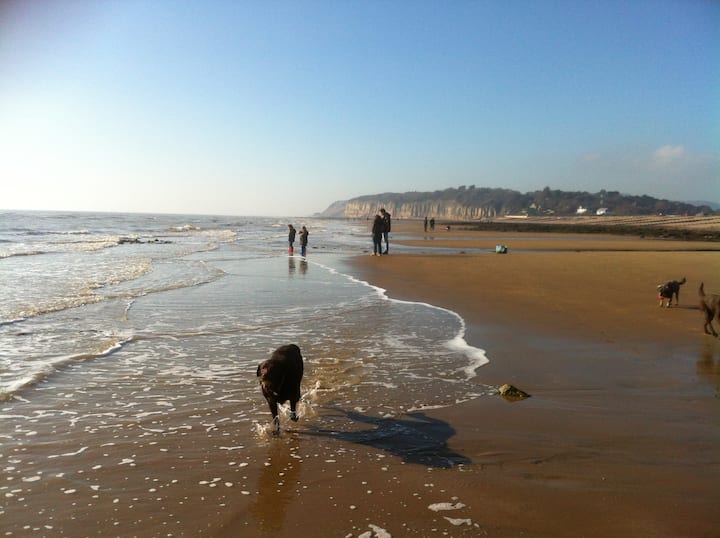 Pett Level Beach House
Sleeps 8, Dogs Welcome - Camber Sands