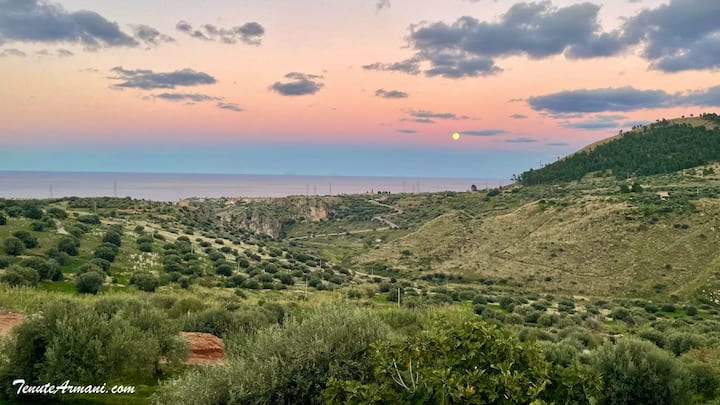 Tenute Armani The Castle Live An Experience - Altavilla Milicia