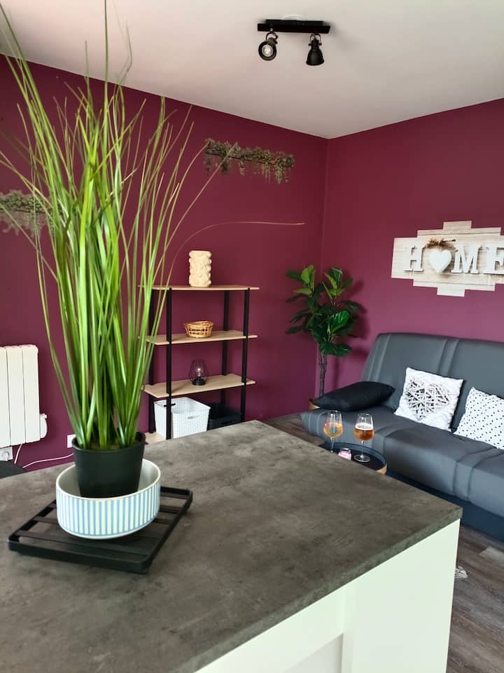 Studio Cosy à 300 M De La Plage Et Des Commerces - Villers-sur-Mer