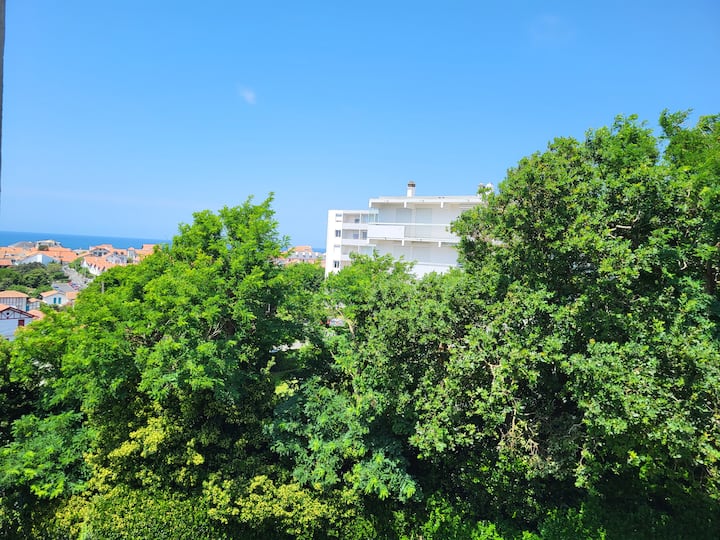 Appartement 4 P Côte Des Basques - Biarritz