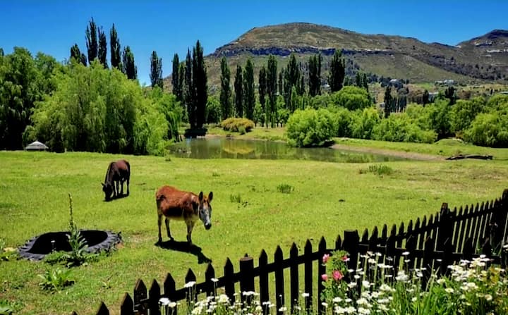 Serene | On The Lake - Clarens