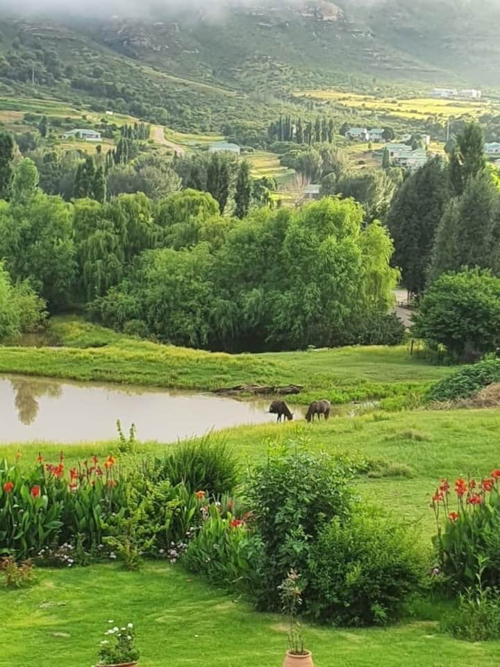 Serene | On The Lake - Clarens