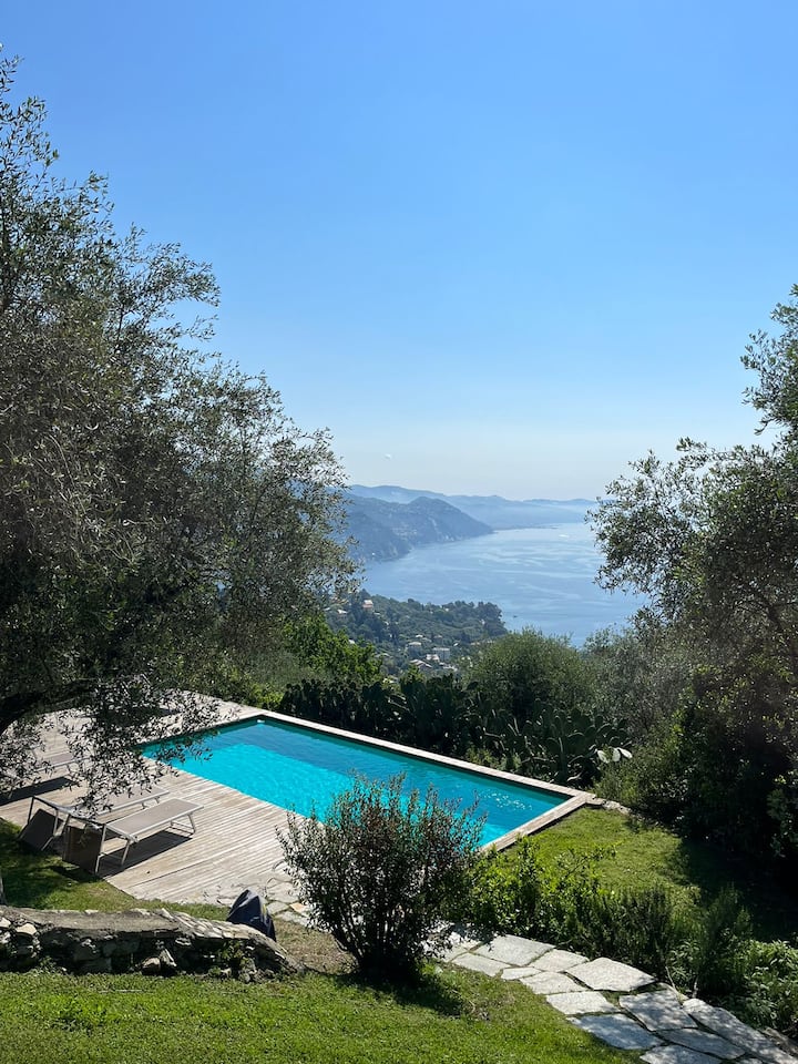 Ulivi Nel Blu Country House With Pool 2 Rooms - Portofino