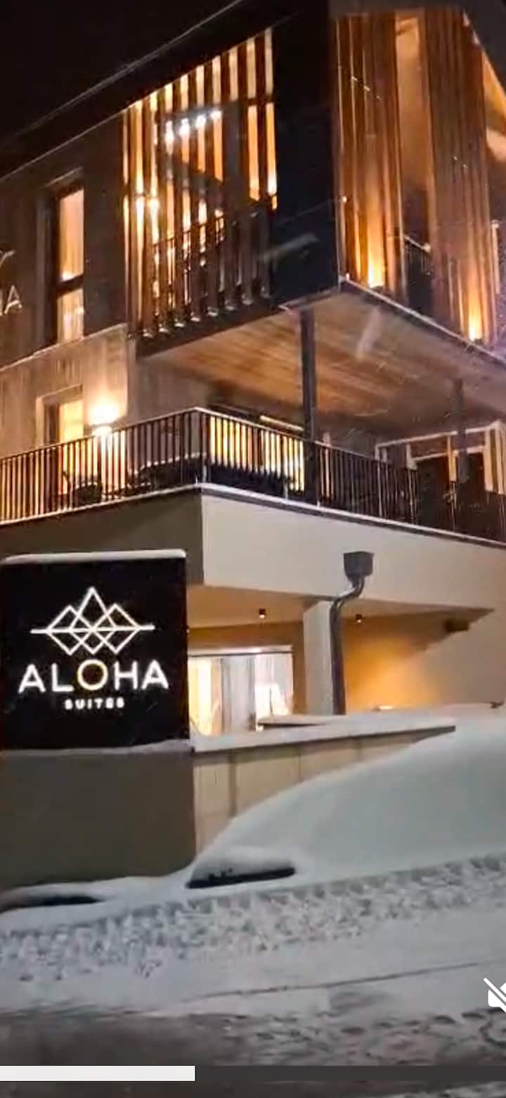 Aloha -Suites / Inkl. Whirlpool Und Außensauna - Haus im Ennstal