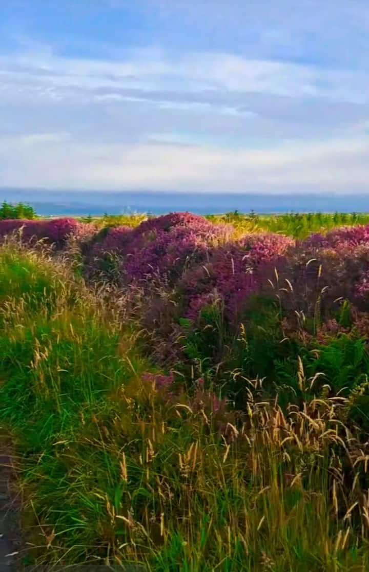 Heather Cottage Doolin - Doolin
