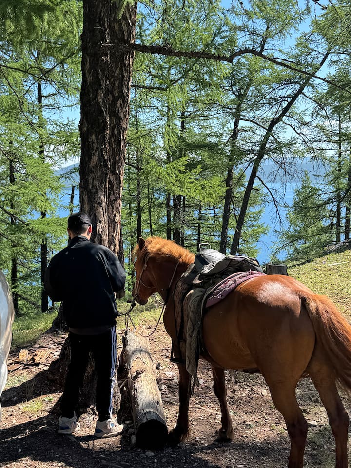 Bl Travel - Mongolia