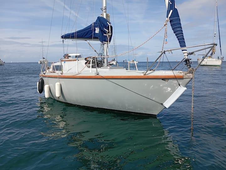 Charmant Logement Sur L'eau - Bateau Cosy à Nantes - Nantes