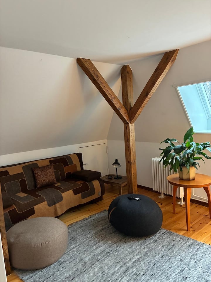 Helles Dachgeschoss Apartment Im Grünen Berlin - Berlin