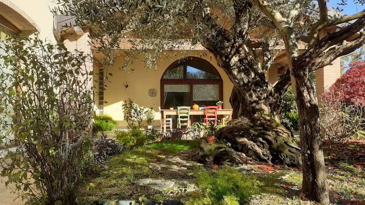 A Casa Di Jolanda - Ampio Giardino - Park Gratis - Mestre