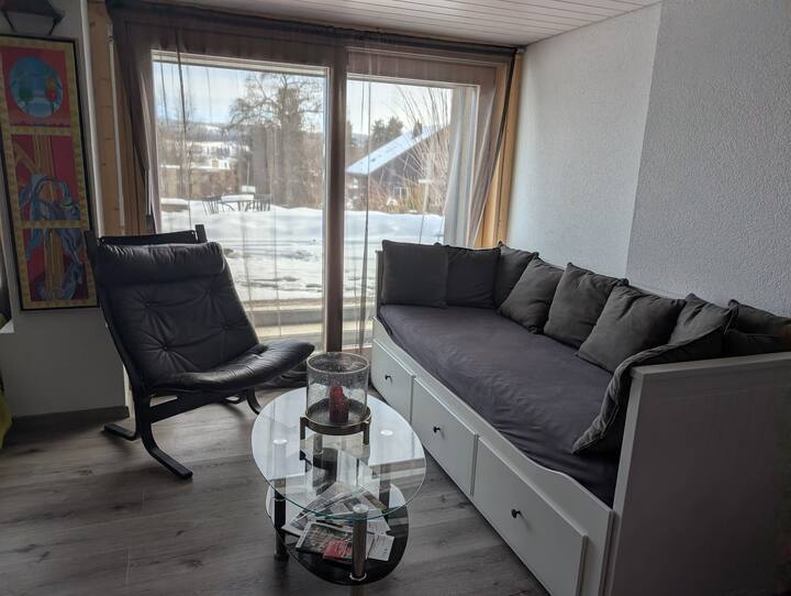 Magnifique Studio De Plain-pied - La Chaux-de-Fonds