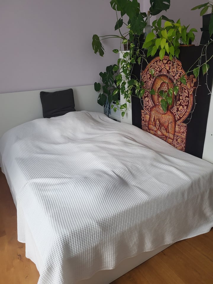 Schönes Zimmer Für Einzelperson - Wiesbaden
