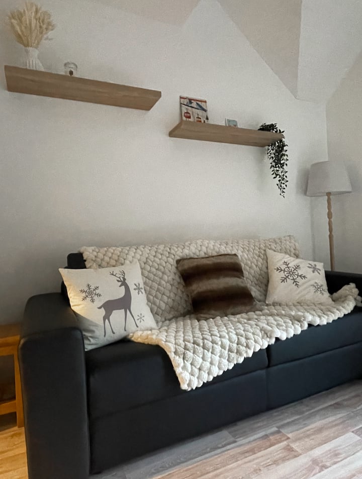 Studio Cabine, Idéal Ski Et Cure, Parking Gratuit - Les