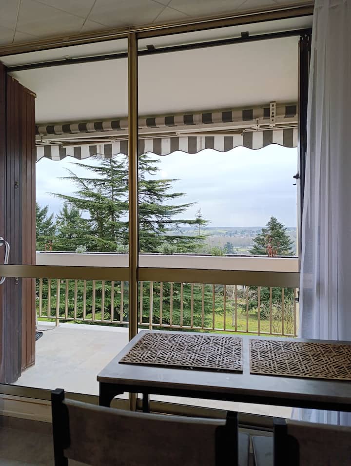 Studio Au Cœur Des Châteaux - Montrichard
