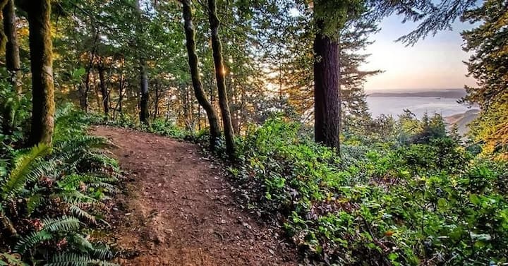 Secluded Beach Cabin In The Woods! Pets Ok! - Humbug Mountain State Park, Port Orford