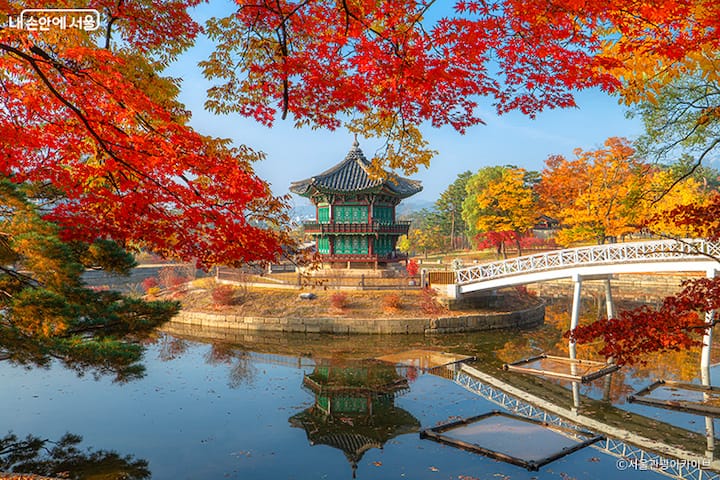 *1-d Convenient Business Room - Seoul