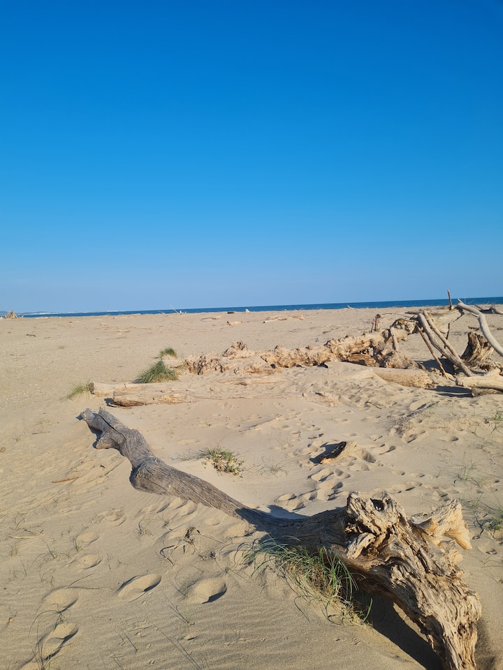 L'albatros 3 Chambres Full Comfort Plage A 1 Min - Portiragnes