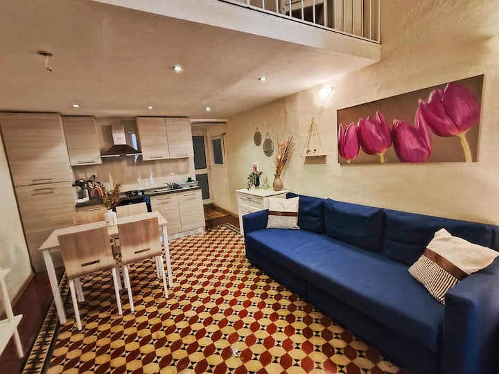 Charming Duplex House,cinema Room, Valletta Centre - Valletta