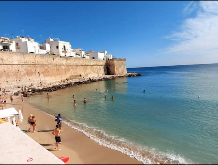 Regina Della Pace Apartments A 700mt.dal Mare - Monopoli