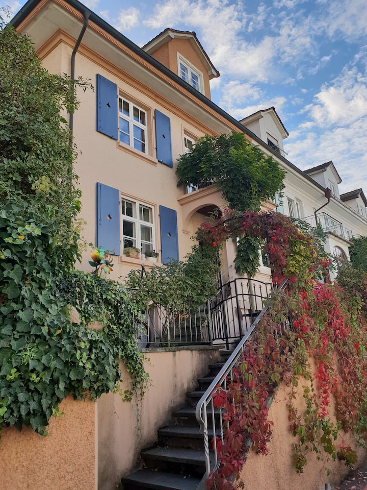 Haus Zentral Gelegen Mit Garten. - Basel