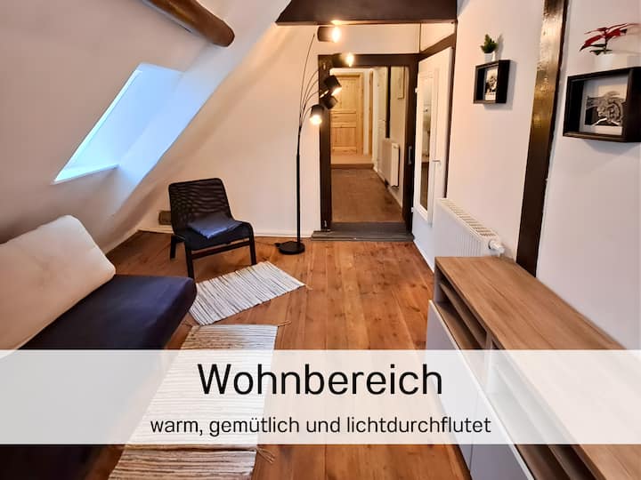 Ap. "Bern 4" Chemnitz - Garden View & Near City - Chemnitz
