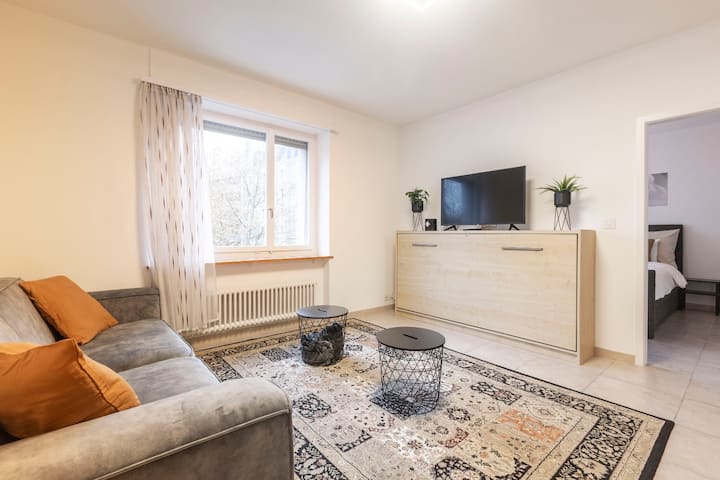 Urban Boutique Apartment Am Helvetiaplatz - Zürich