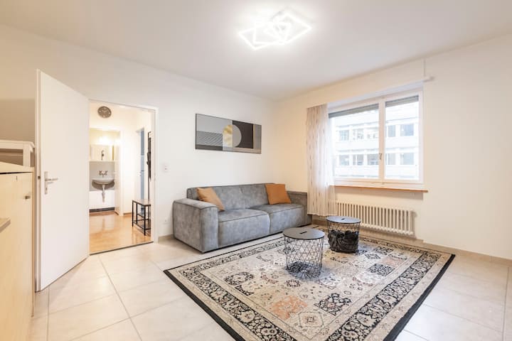 Wohnung Im Herzen Von Zürich - Zürich