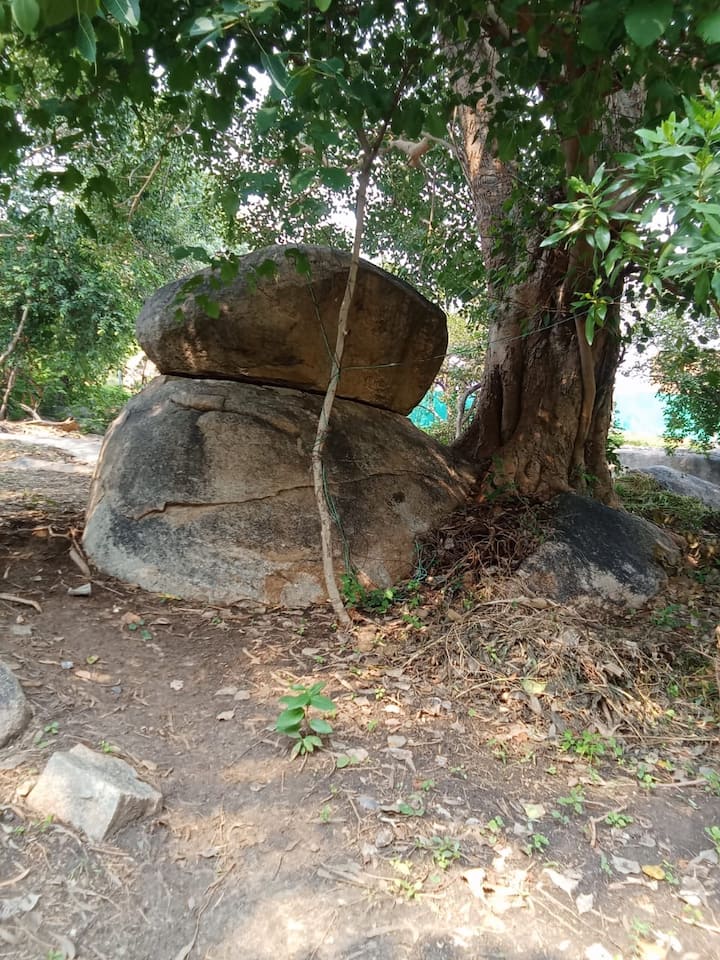 Kavita’s Garden House - Hampi