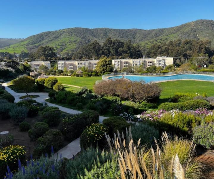 Lomas 2 Primer Piso Acogedor,wifi - Zapallar