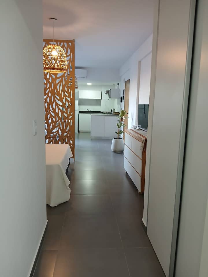 Hermoso Monoambiente Gran Cocina Balcón - San Martin, Argentina
