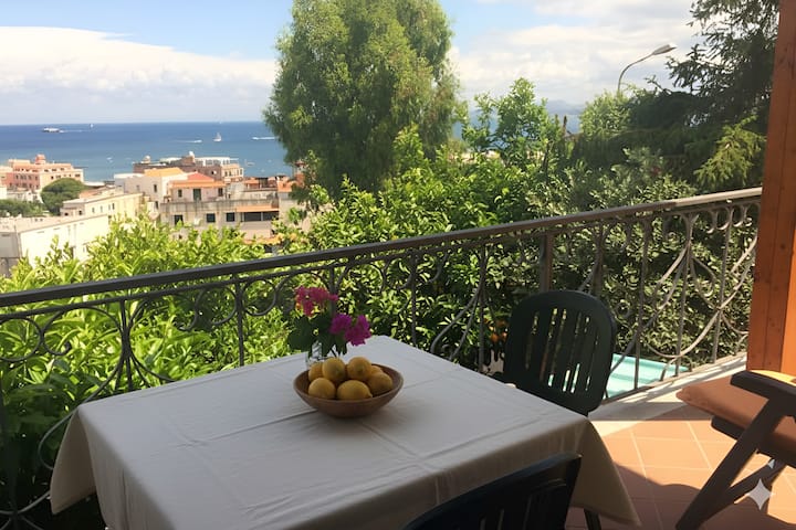 Villa Cartaromana - Ischia