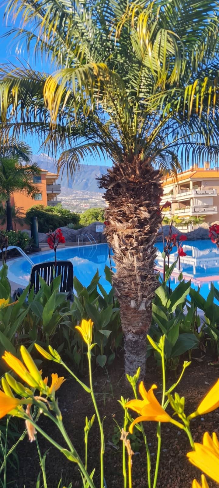 Jardines Del Teide - Puerto de la Cruz