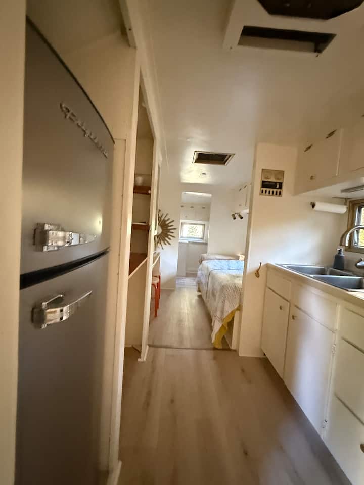 Silver Fairy, Camper Under Redwood Fairy Circle - Californie