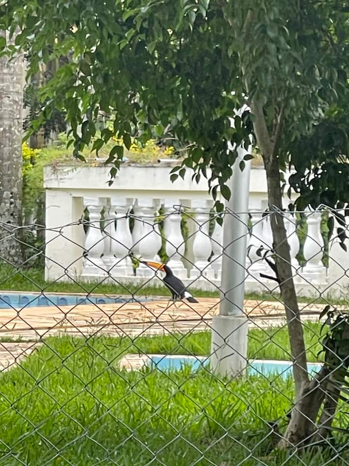 Chácara Villa Simões - Socorro