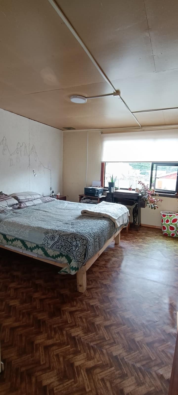 Departamento Central Y Cómodo. - Puerto Natales