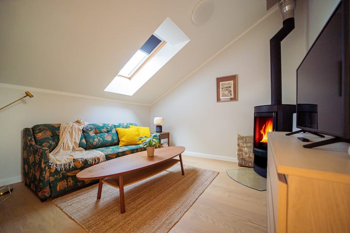 Historic Kadriorg Attic Fireplace Private Balcony - Tallinn