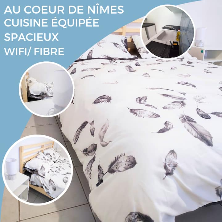 Grand Appartement Centre Nîmes - Nimes