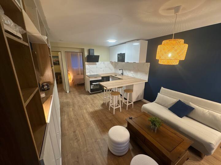 Appartement Le Pic Du Midi - Lourdes