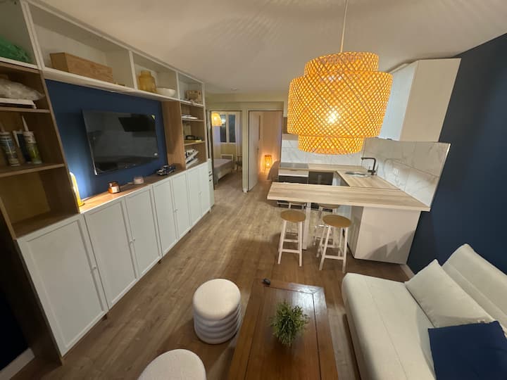 Appartement Le Pic Du Midi - Lourdes