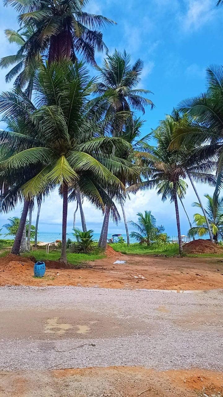 São Bento-maragogi/al.
Casa Da Laura-pé Na Areia. - Japaratinga