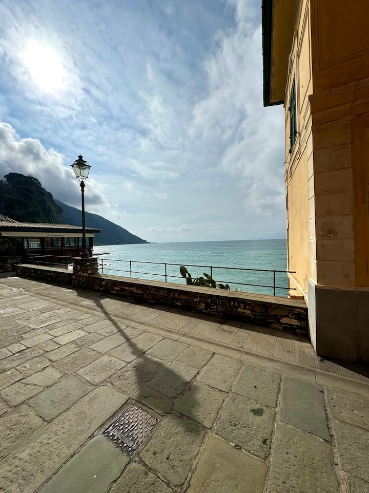 Casa Sul Lungomare Con Patio - Camogli